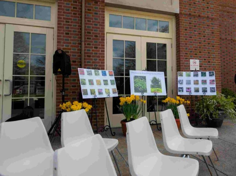 5 Essential Resources Needed For An Event - Designa Studio